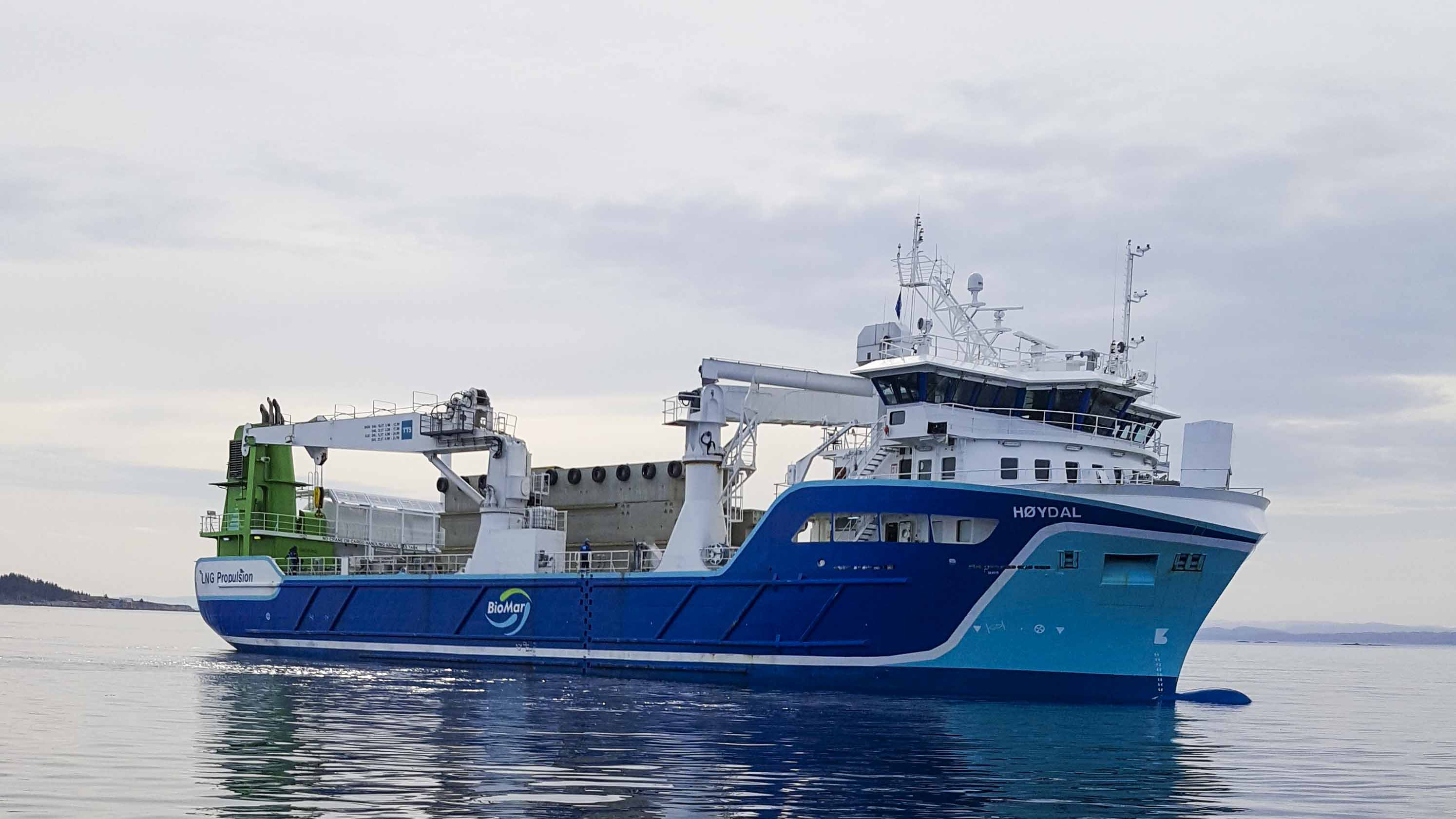Rabben Marina - Helgeland Marinasystemer